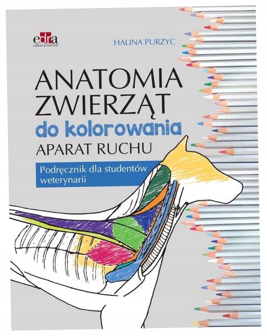 Anatomia Zwierząt Aparat Ruchu - Niska cena na Allegro