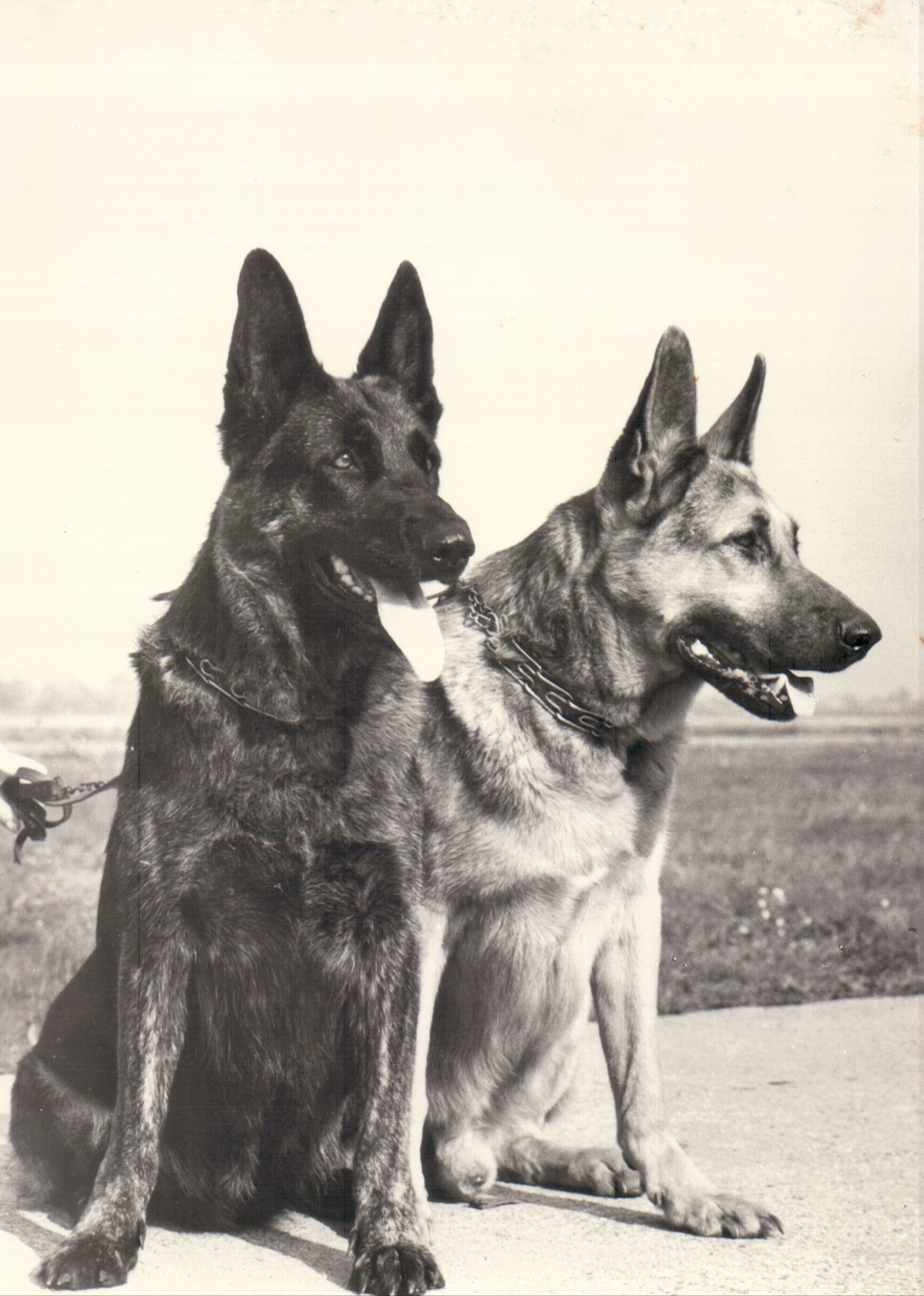 Przedmioty użytkownika lszufa - Strona 16 - Allegro