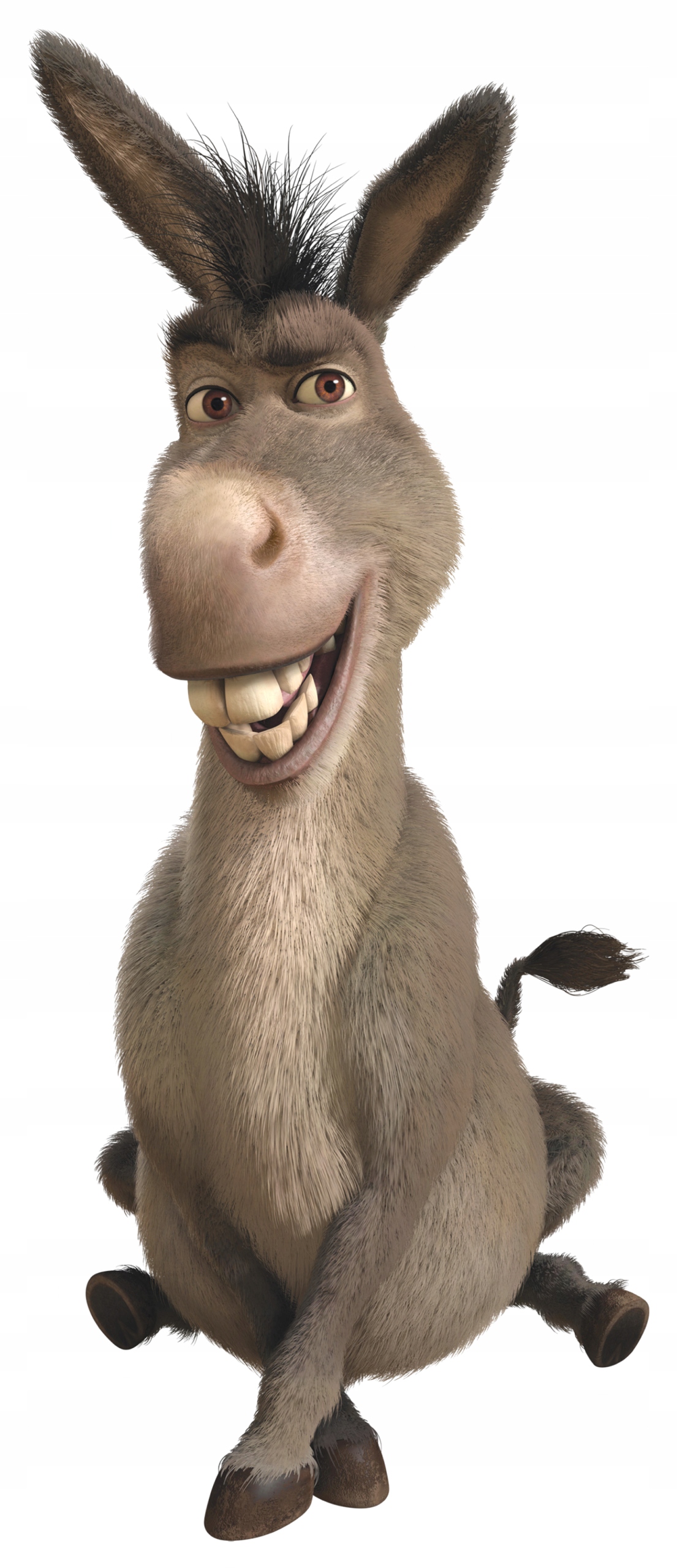 NÁLEPKA NA OKNO SKLO ZRCADLO SHREK OSLÍK za 84 Kč - Allegro