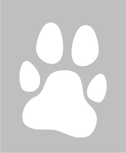 ŠABLÓNA VIACNÁSOBNÁ LABKA STOPA PSA|40 cm x 30 cm - Allegro