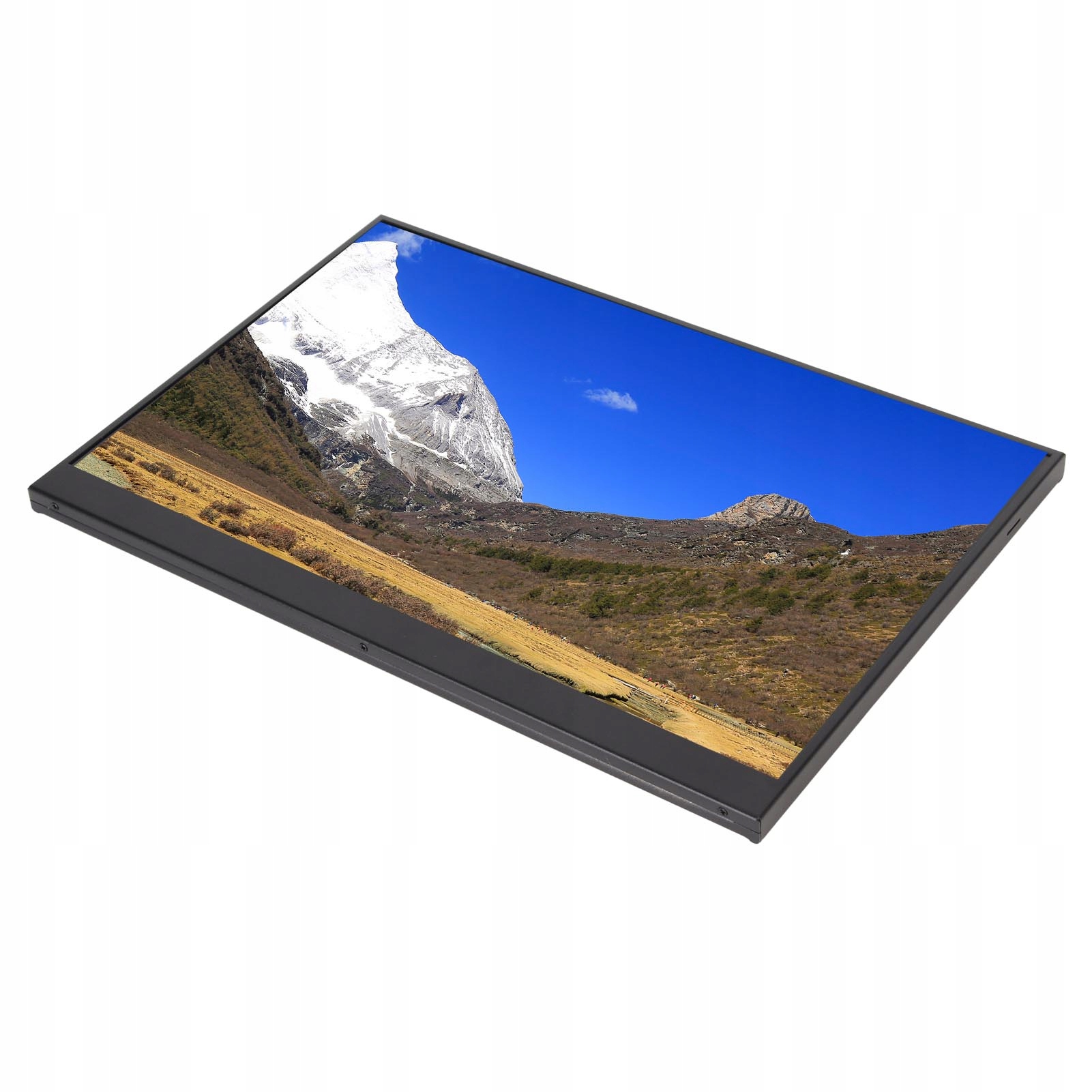 Monitor 14 cali - Niska cena na Allegro.pl