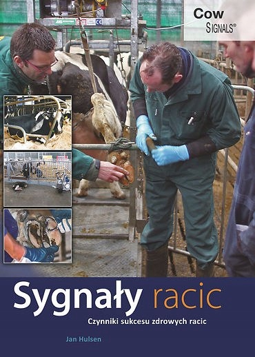 Sygnały racic (17193567208) | Książka Allegro