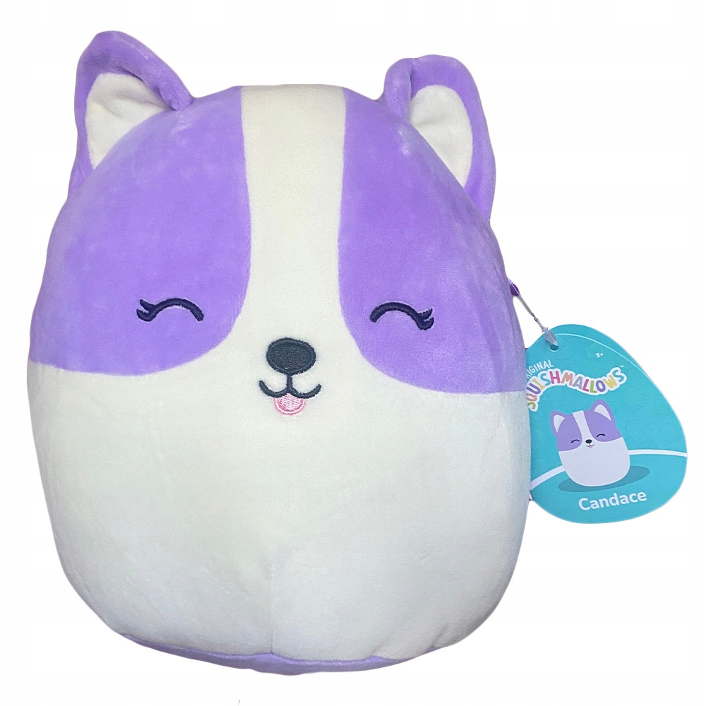 SQUISHMALLOWS CANDACE PIESEK CORGI ORYGINALNA MASKOTKA PLUSZAK • Cena ...