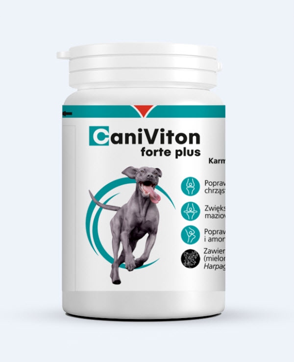 Caniviton Forte Plus 90 tab. (5904109019671) • Cena, Opinie ...