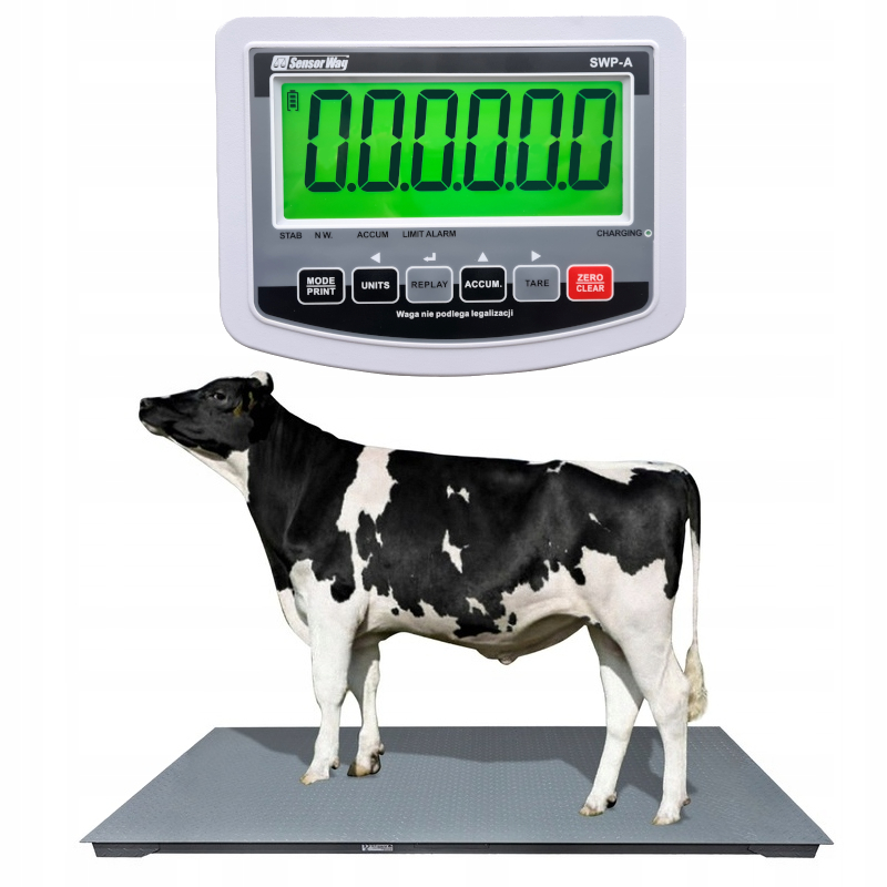 WAGA PLATFORMOWA ELEKTRONICZNA INWENTARZOWA, DO ZWIERZĄT 5T 1X2,2m SWP ...