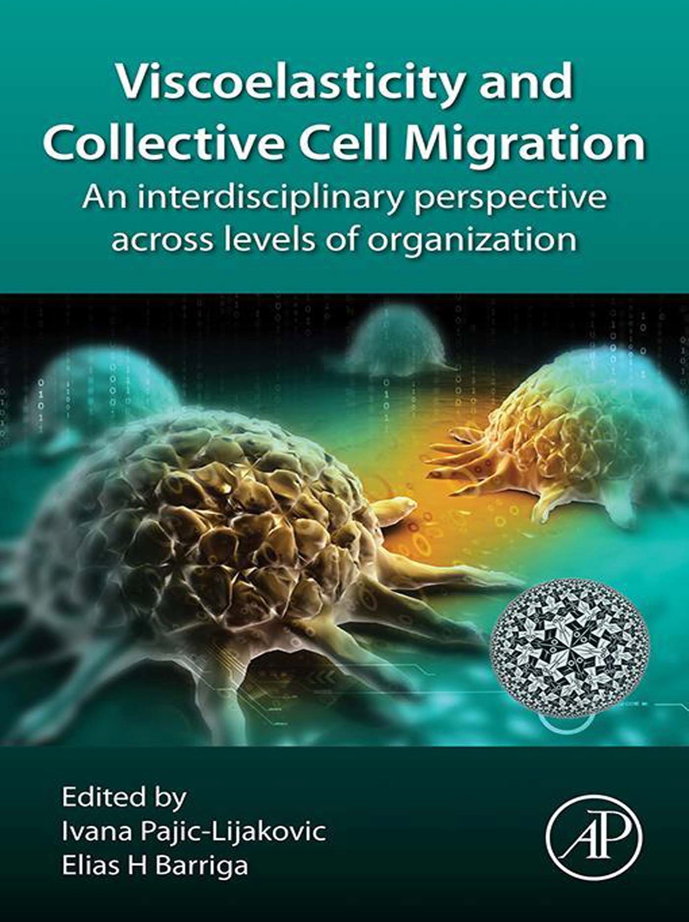 Viscoelasticity And Collective Cell Migration 2021 Pajic Lijakovic Ivana 10188948226