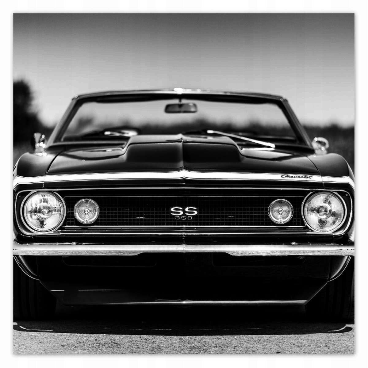 Samolepky 100x100 Chevrolet Camaro SS 350 za 395 Kč - Allegro