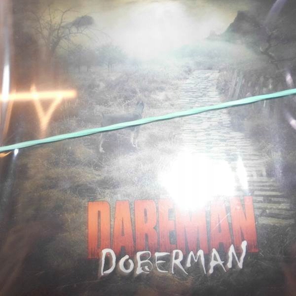 Dareman - Doberman - Niska cena na Allegro