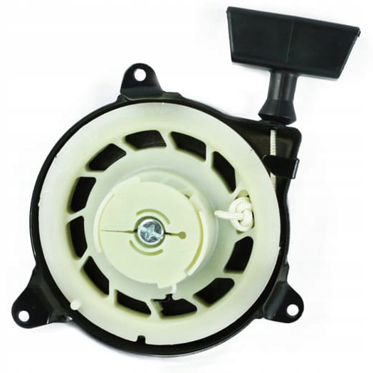 ROZRUSZNIK STARTER BRIGGS&STRATTON 3,5KM (5903796611625) • Cena, Opinie ...