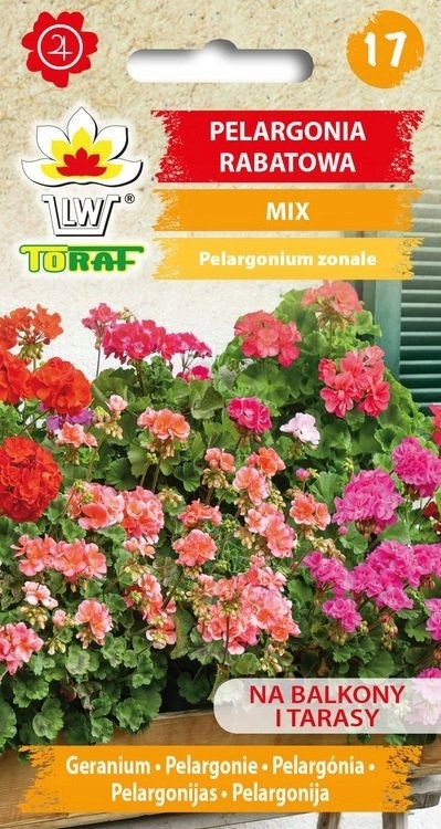 Nasiona Pelargonii - Niska cena na Allegro.pl - Strona 2