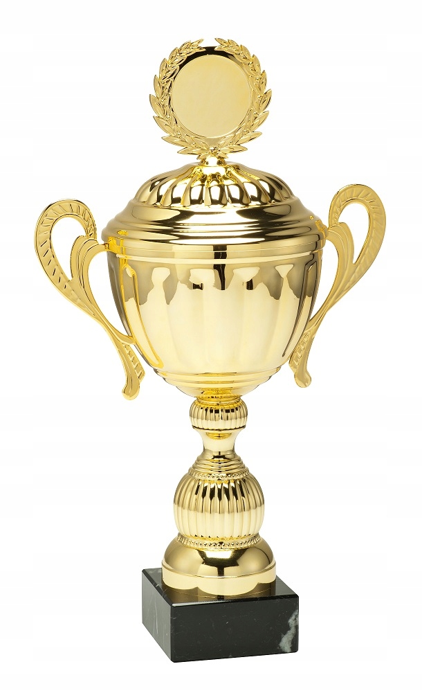 Puchar złoty duży 42,5cm ,tabliczka gratis - 13183928211 - Allegro.pl