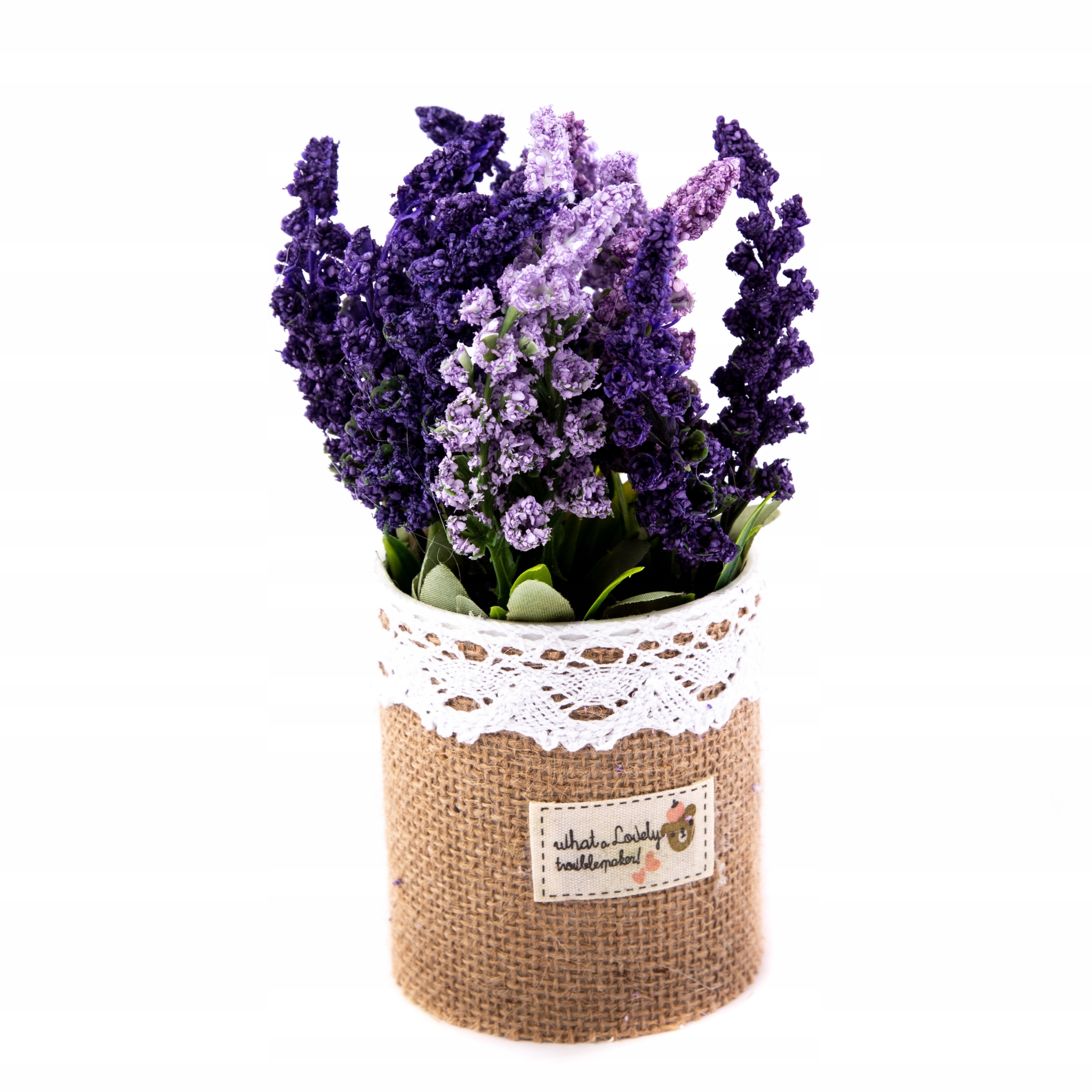 LEVANDULE KVĚTINA V KVĚTINÁČI RŮZNÉ BARVY za 193 Kč - Allegro
