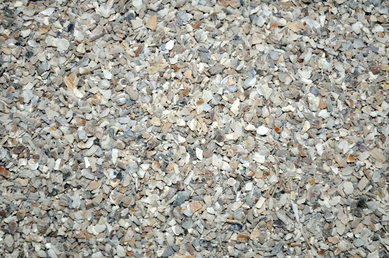 Oyta shells 1kg grit muszle wapń, minerały dla ptaków (5907559874517 ...