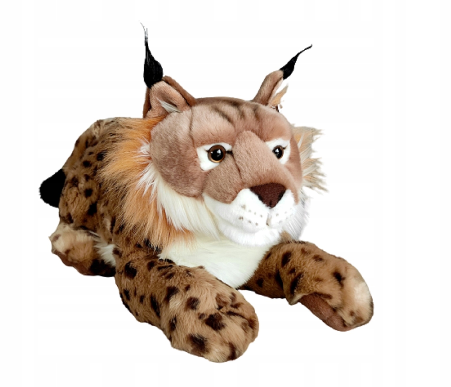 Pluszak Ryś - Niska cena na Allegro.pl