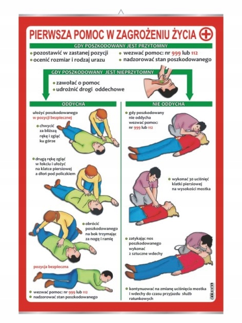 PIERWSZA POMOC W ZAGROŻENIU ŻYCIA plansza PLAKAT 70x100 cm VISUAL ...