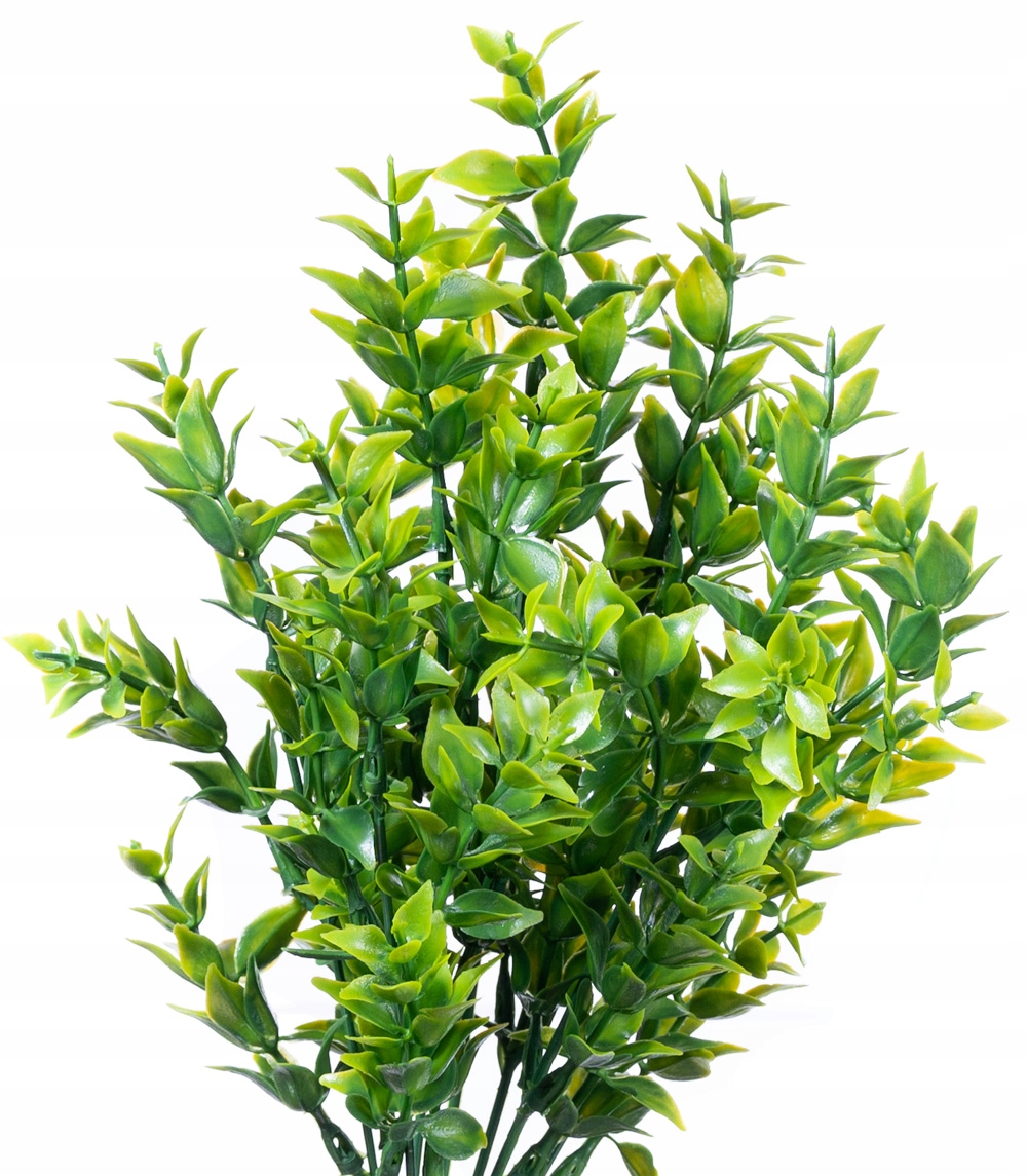 Ruskus bukiet listków zielony sztuczny kompozycje (bukiet listków ...