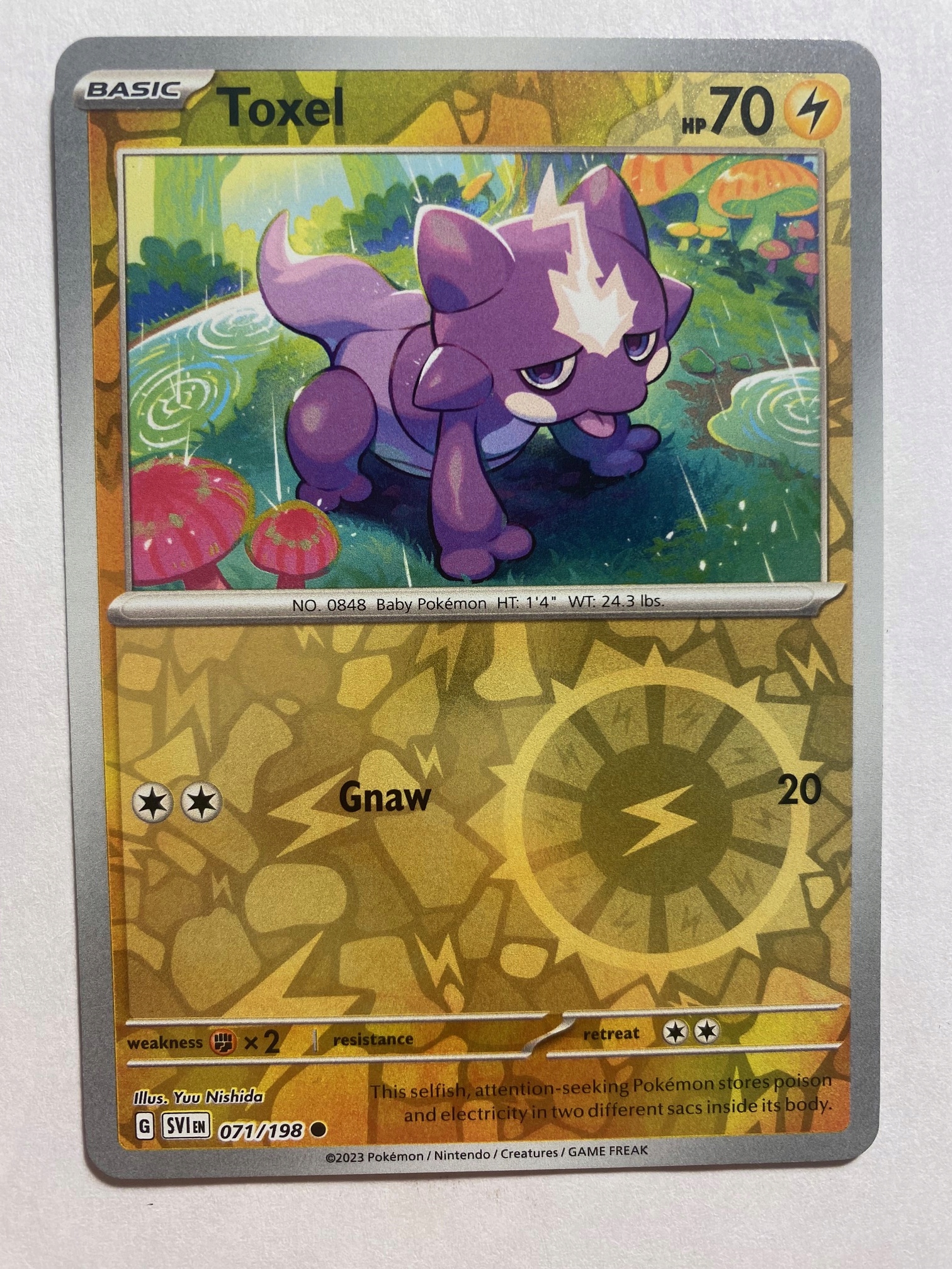 Scarlet & Violet reverse 071/198 Toxel - Stan: Nowy 1.50PLN - Sklepy ...