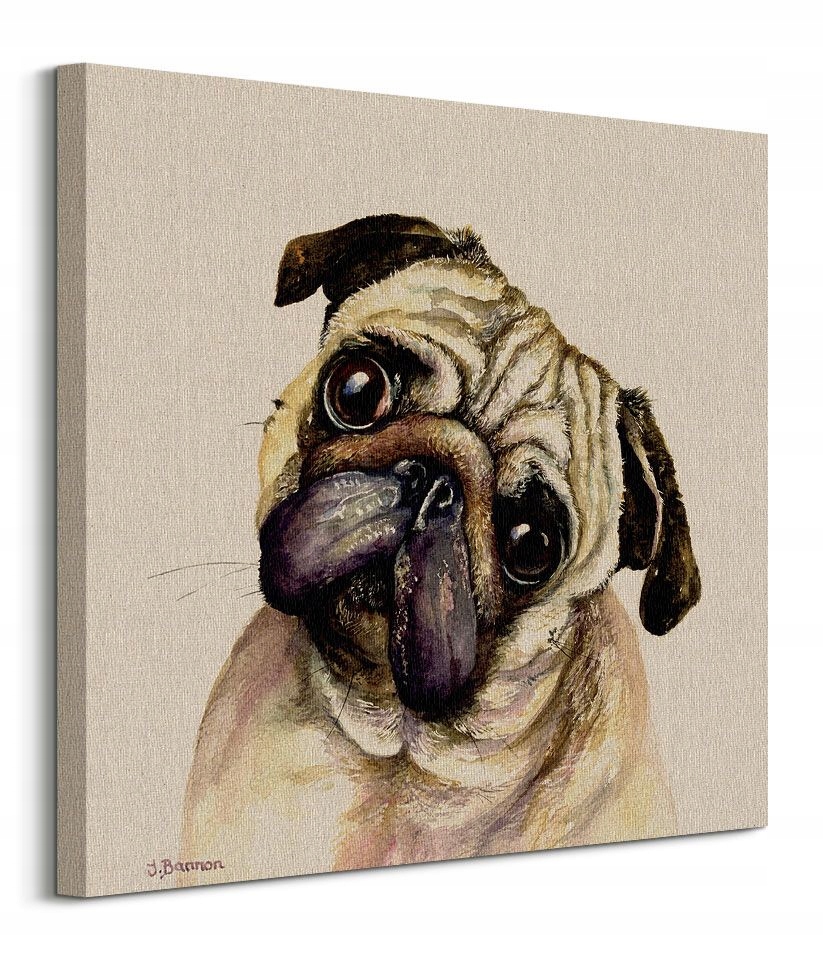 Jane Bannon Pies Mops Obraz na płótnie 60x60 cm (5051265980779) • Cena ...