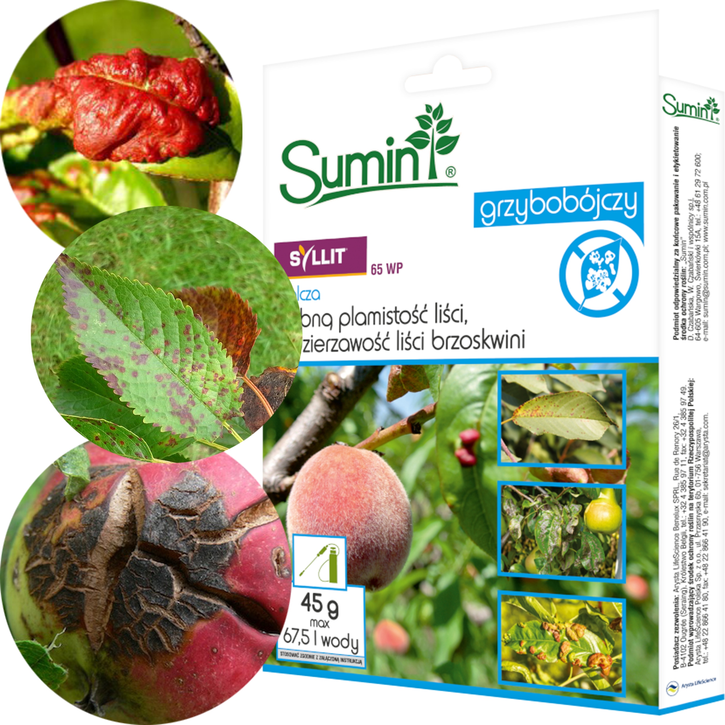 SYLLIT 65WP 45g GRZYBOBÓJCZY KĘDZIERZAWOŚĆ PARCH ZARAZA PLAMISTOŚĆ ...