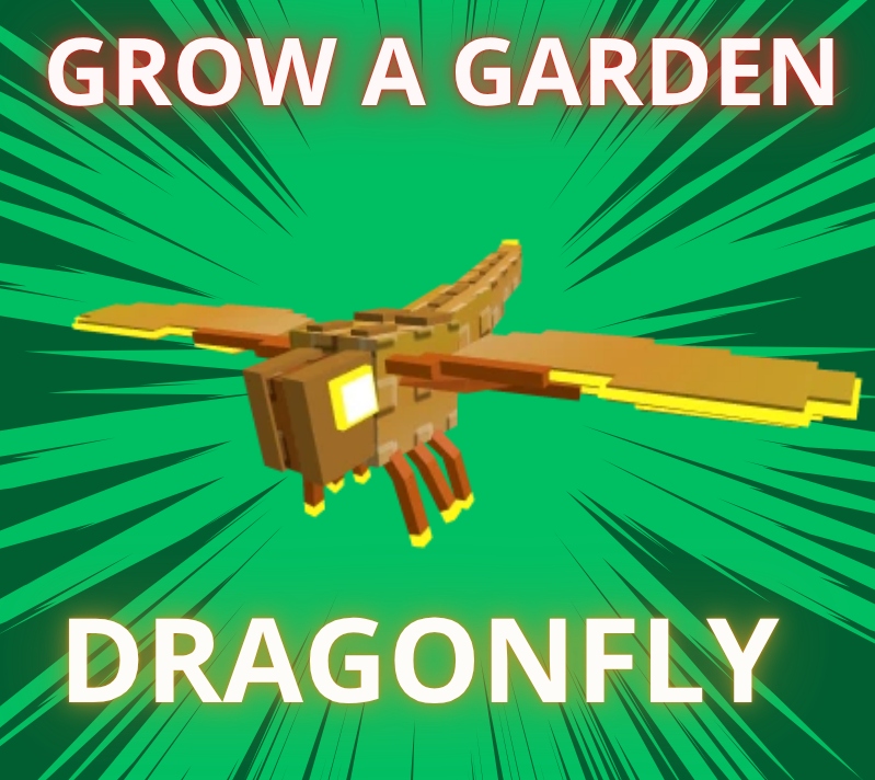 Dragonfly | Pet | Grow A Garden | GaG | Roblox - Stan: Produkt cyfrowy ...