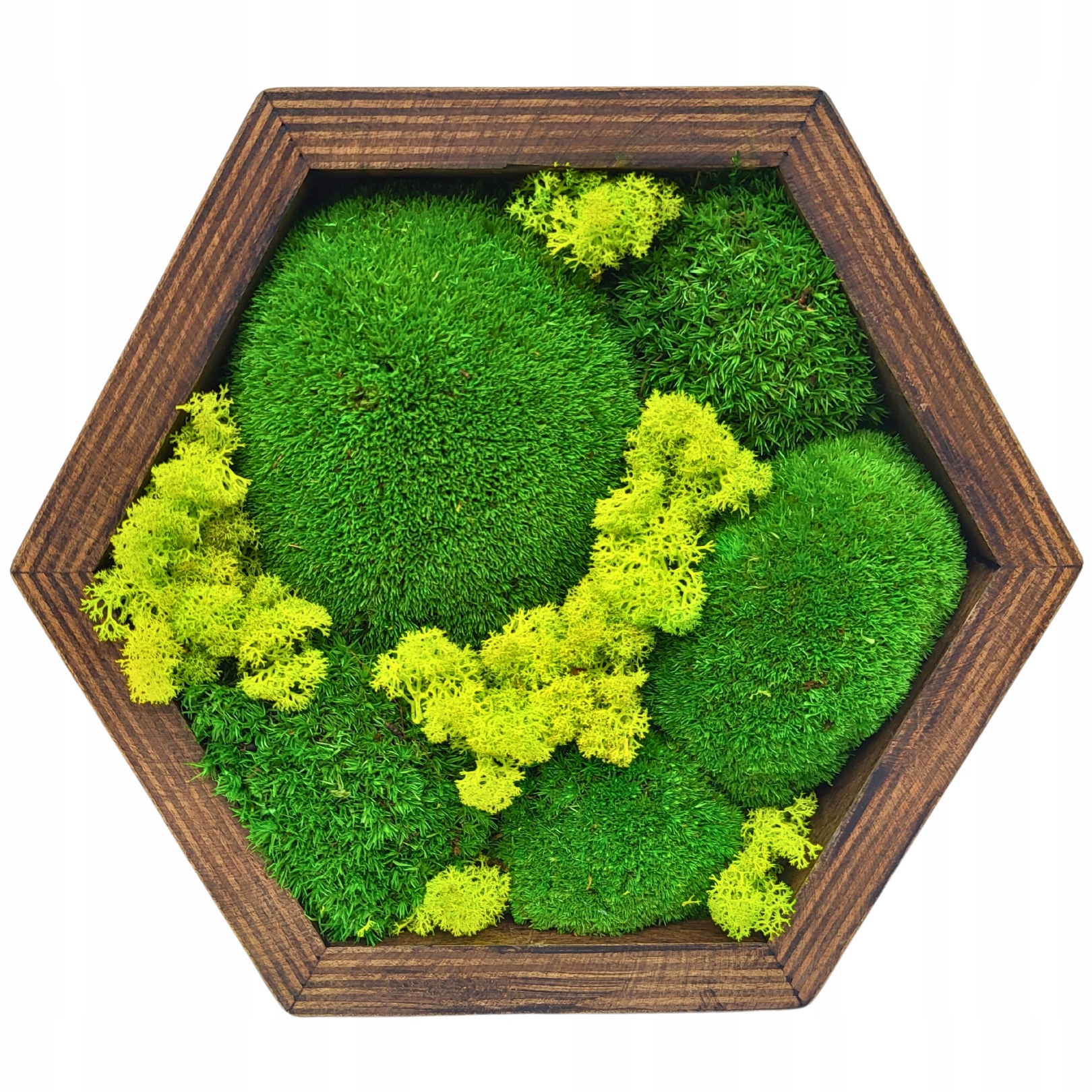 OBRAZ Z MCHU MECH HEKSAGON DREWNIANA RAMKA • Cena, Opinie • Obrazy ...