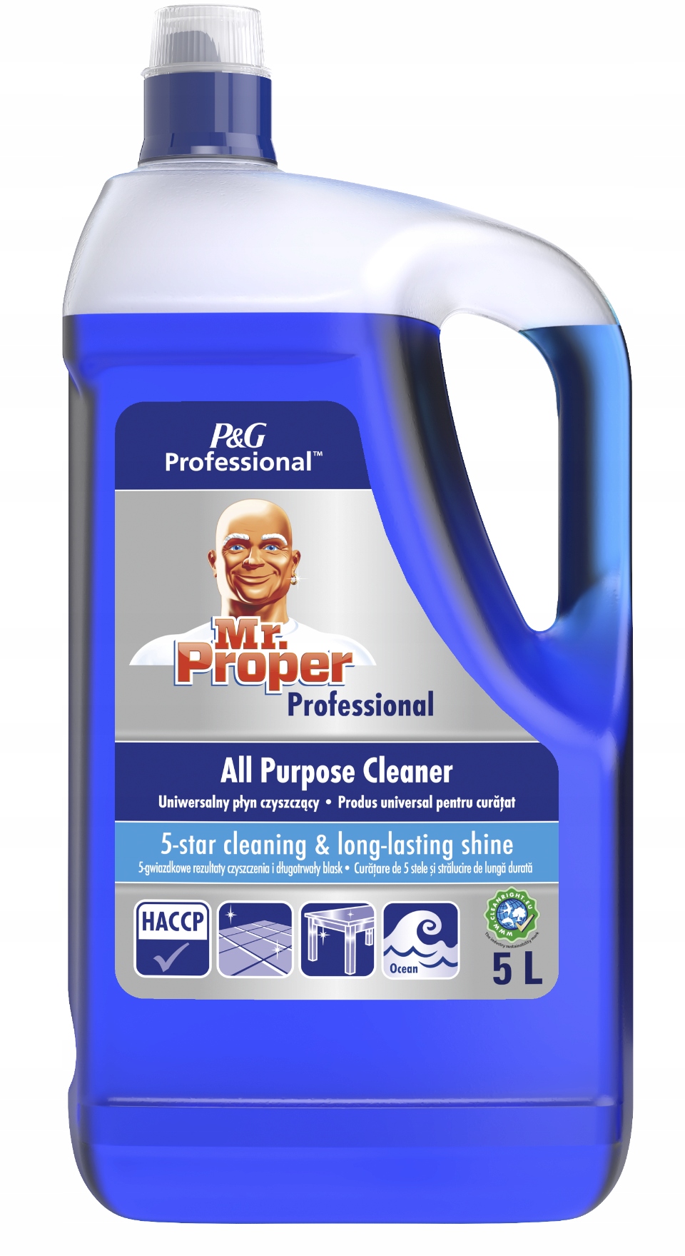 Uniwersalny płyn czyszczący, Mr. Proper Professional Ocean 5l (8006540616611) • Cena, Opinie ...