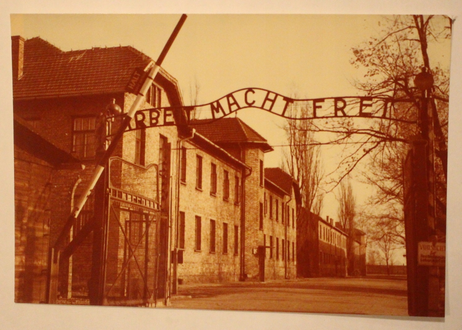 OŚWIĘCIM - AUSCHWITZ. Główna brama obozowa "ARBEIT MACHT FREI", CZYSTA ...