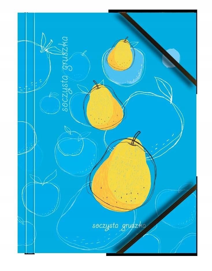 Szkolna TECZKA Na RYSUNKI Organizer Teczka A4 kartonowa z gumką narożną ...