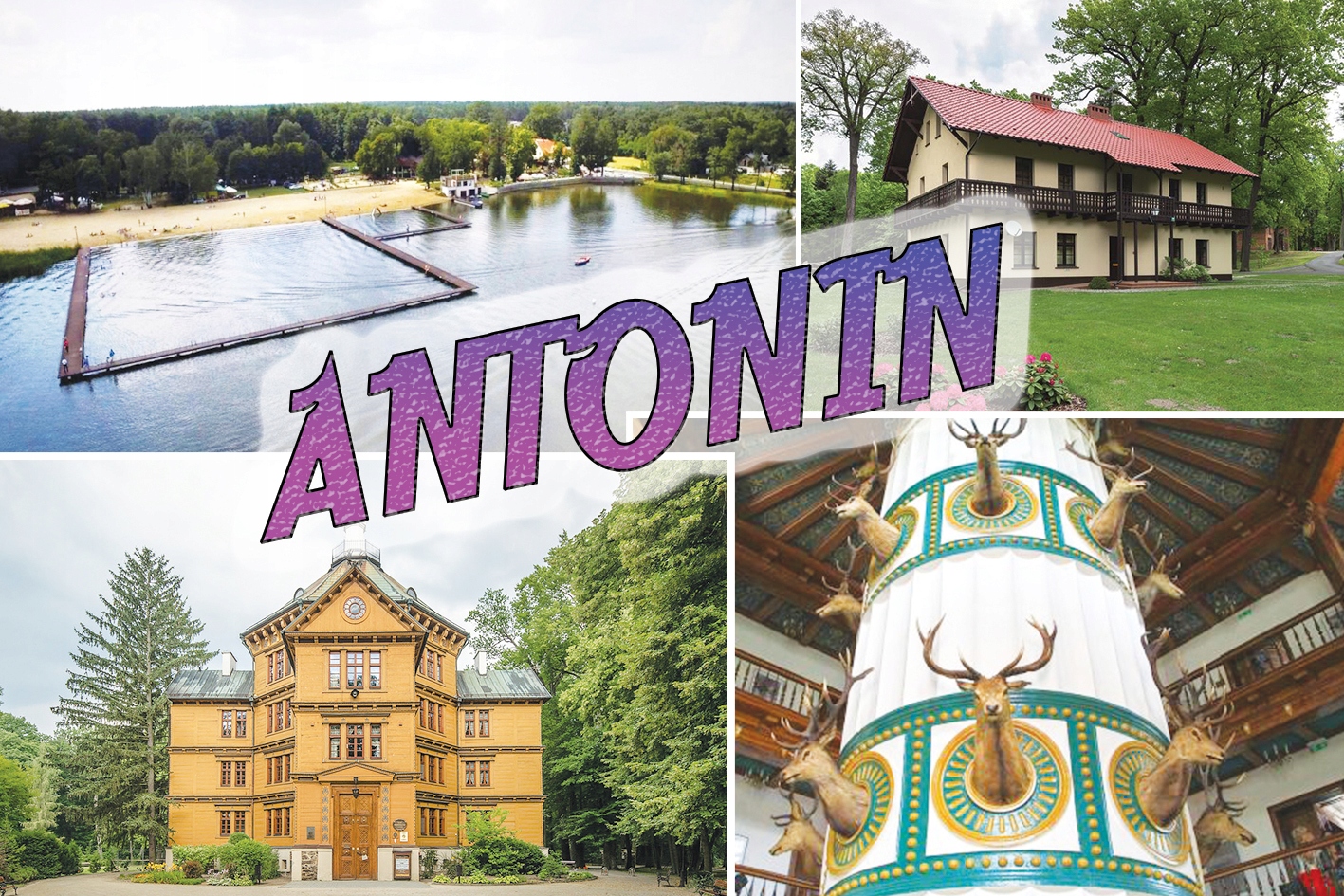 Magnesy na lodówkę - ANTONIN • Cena, Opinie • Magnesy na lodówkę 12532410222 • Allegro