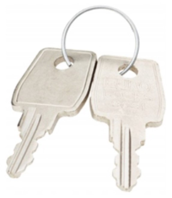 KLUCZ ZAPASOWY ELEKTRYCZNY EURO LOCKS 9081 2 SZT. (KLUCZYK 9081 DO ...