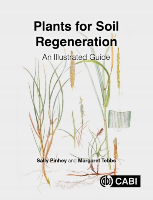 Plants for Soil Regeneration: An Illustrated Guide (12755583834) | Książka Allegro
