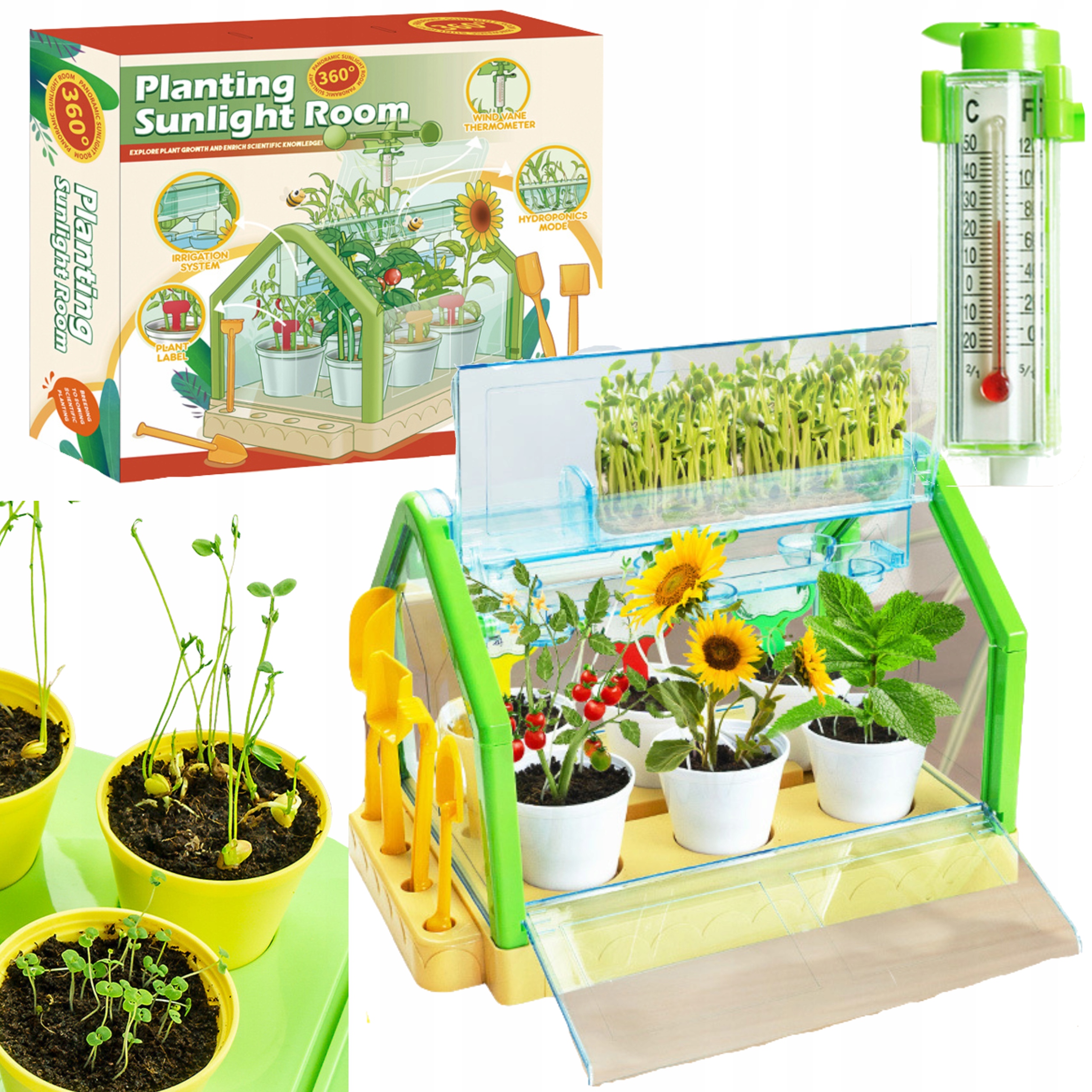 ZESTAW ZABAWKA EDUKACYJNA PRAWDZIWA SZKLARNIA OGRÓDEK DLA DZIECI DUŻA - porównaj ceny - Allegro.pl