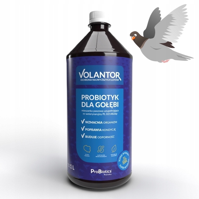 Volantor Probiotyk - Niska cena na Allegro.pl