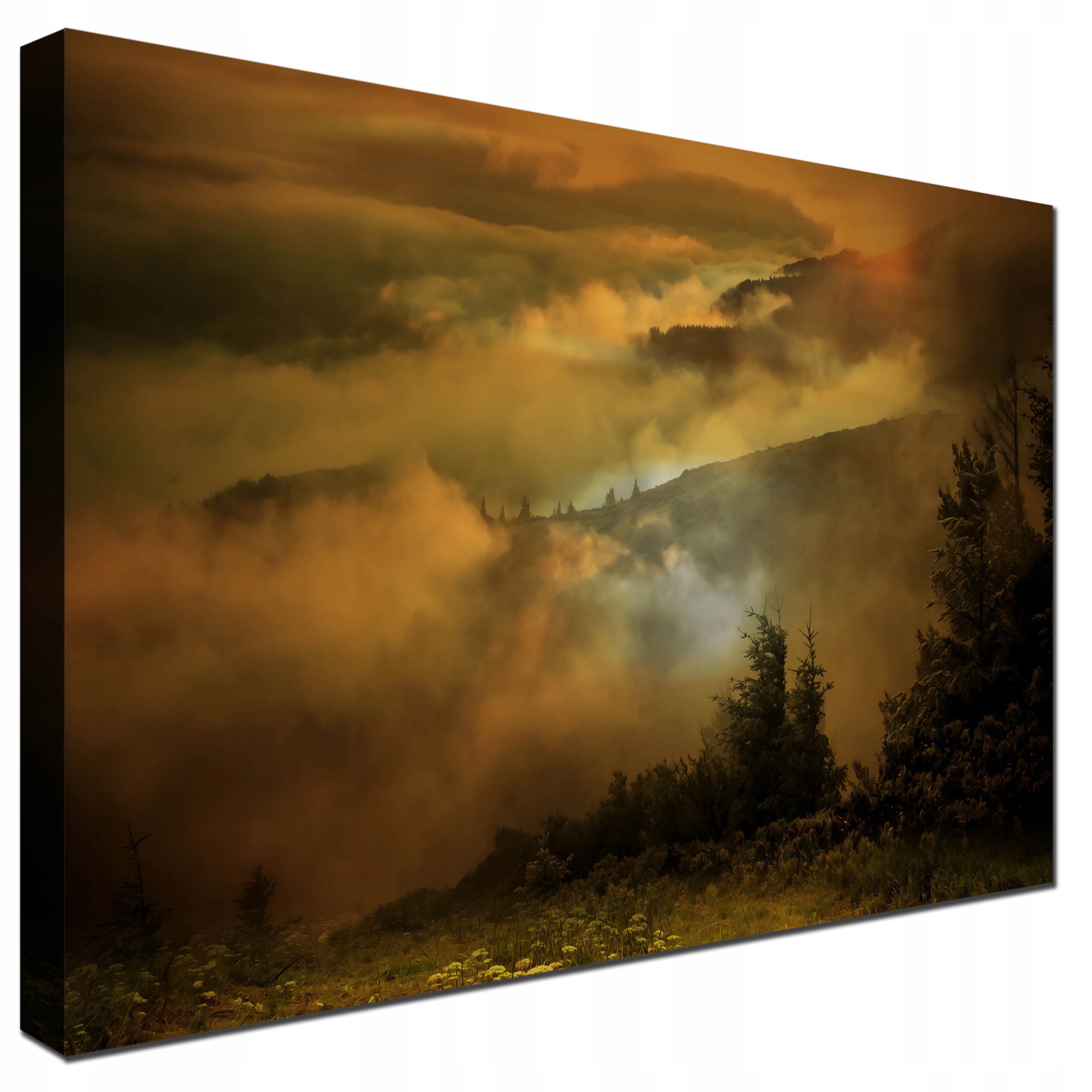 Obrazy drukowane na płótnie Mgła do salonu 12665348756 - Allegro.pl