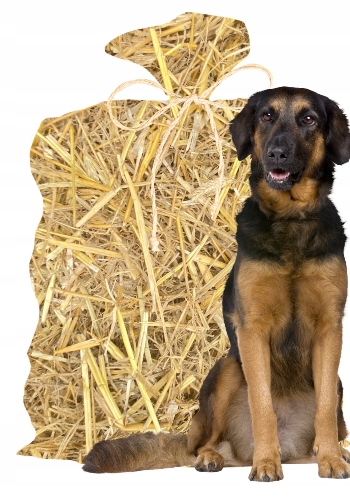 Ściółka do Zabezpieczania - Trociny, podłoża, piasek - Allegro.pl