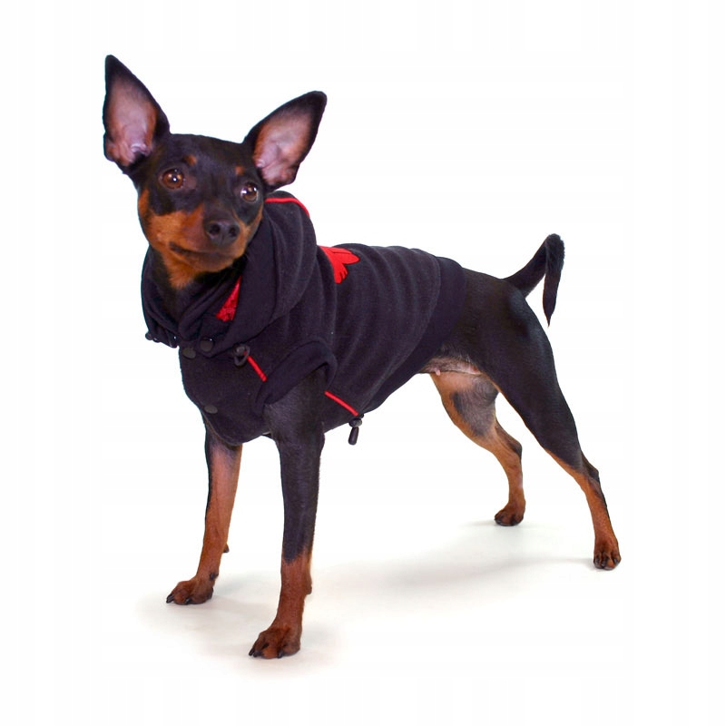 Theo mellény - Izlandi Design fekete XXL, (5690351164558) • Ár ...