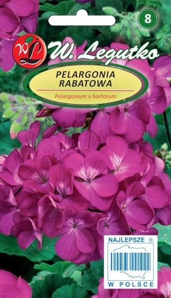 Nasiona Pelargonii Rabatowej - Niska cena na Allegro.pl