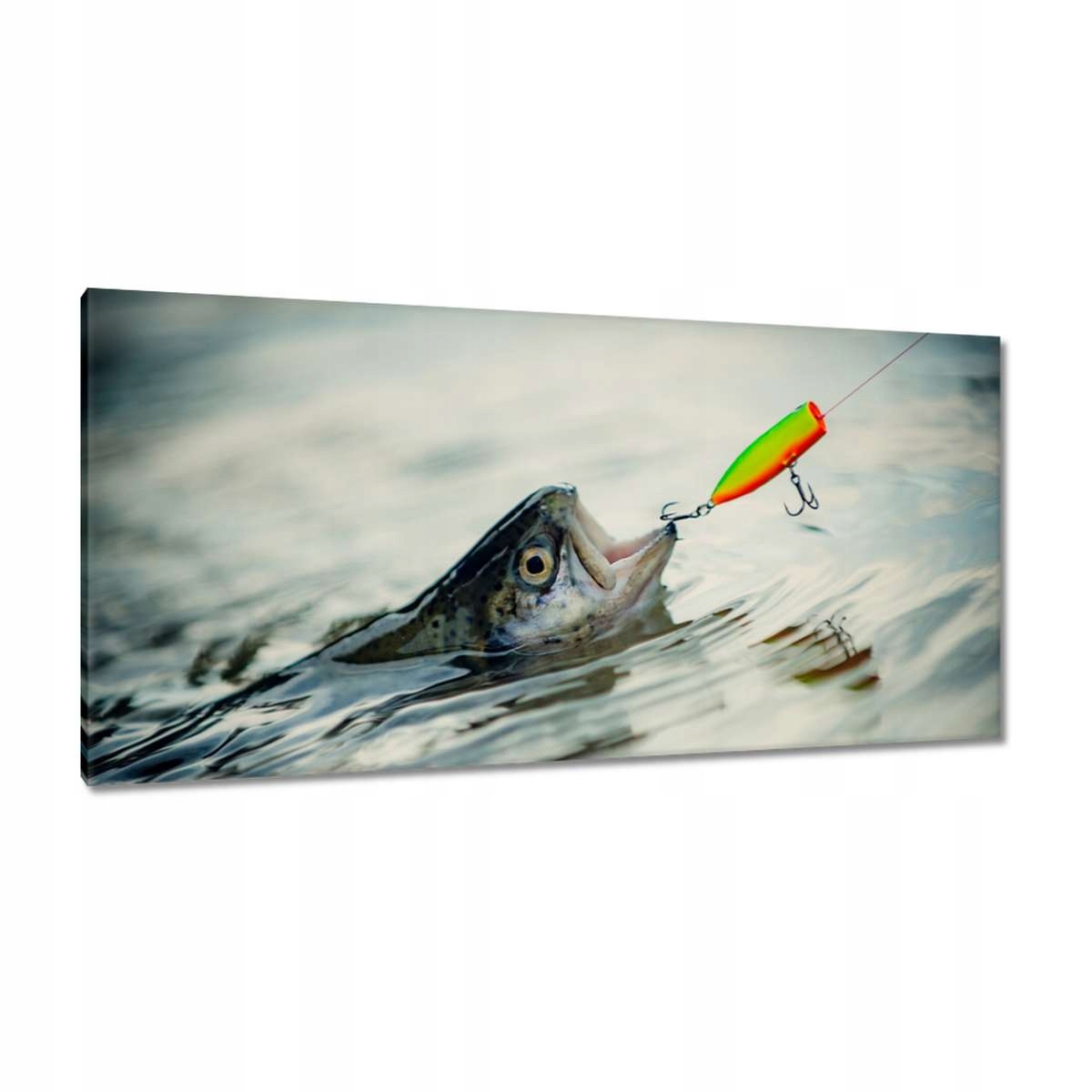 Obrazy 115x55 Pstrąg na haczyku ryba • Cena, Opinie • Obrazy ...