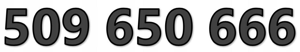 509 650 666 ORANGE STARTER ZŁOTY ŁATWY PROSTY NUMER KARTA SIM GSM ...