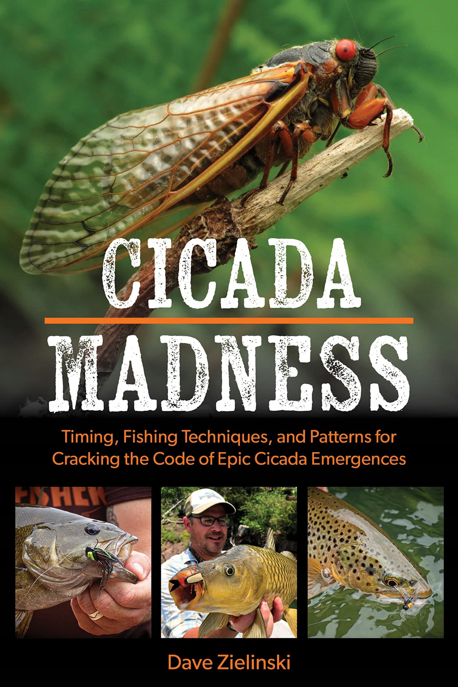 CICADA MADNESS: TIMING, FISHING TECHNIQUES, AND PATTERNS FOR CRACKING THE C (17976710423 ...