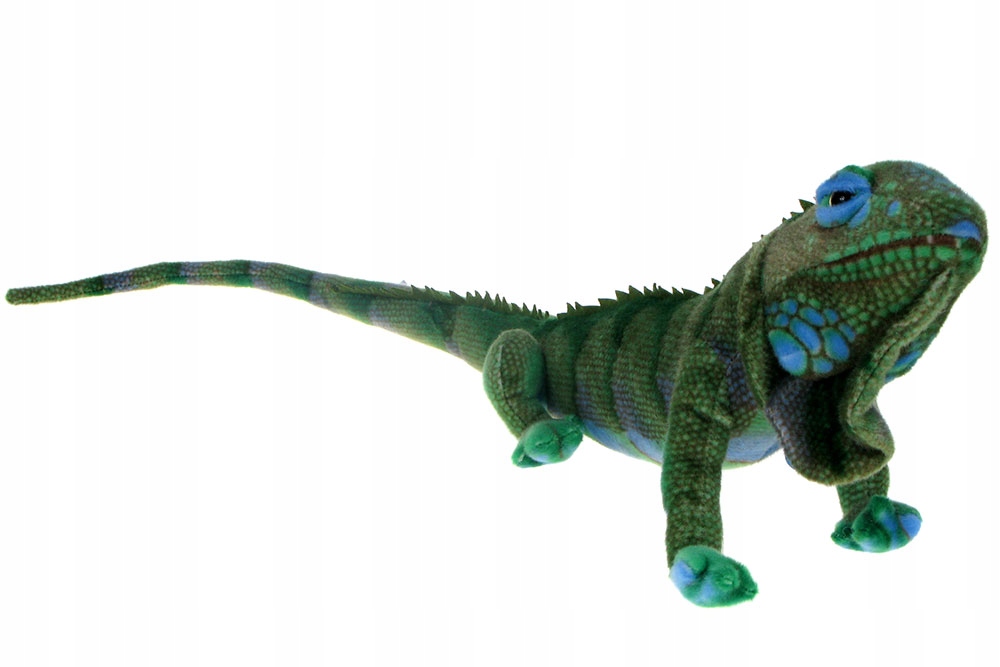 Legwan Zielony - Niska cena na Allegro.pl