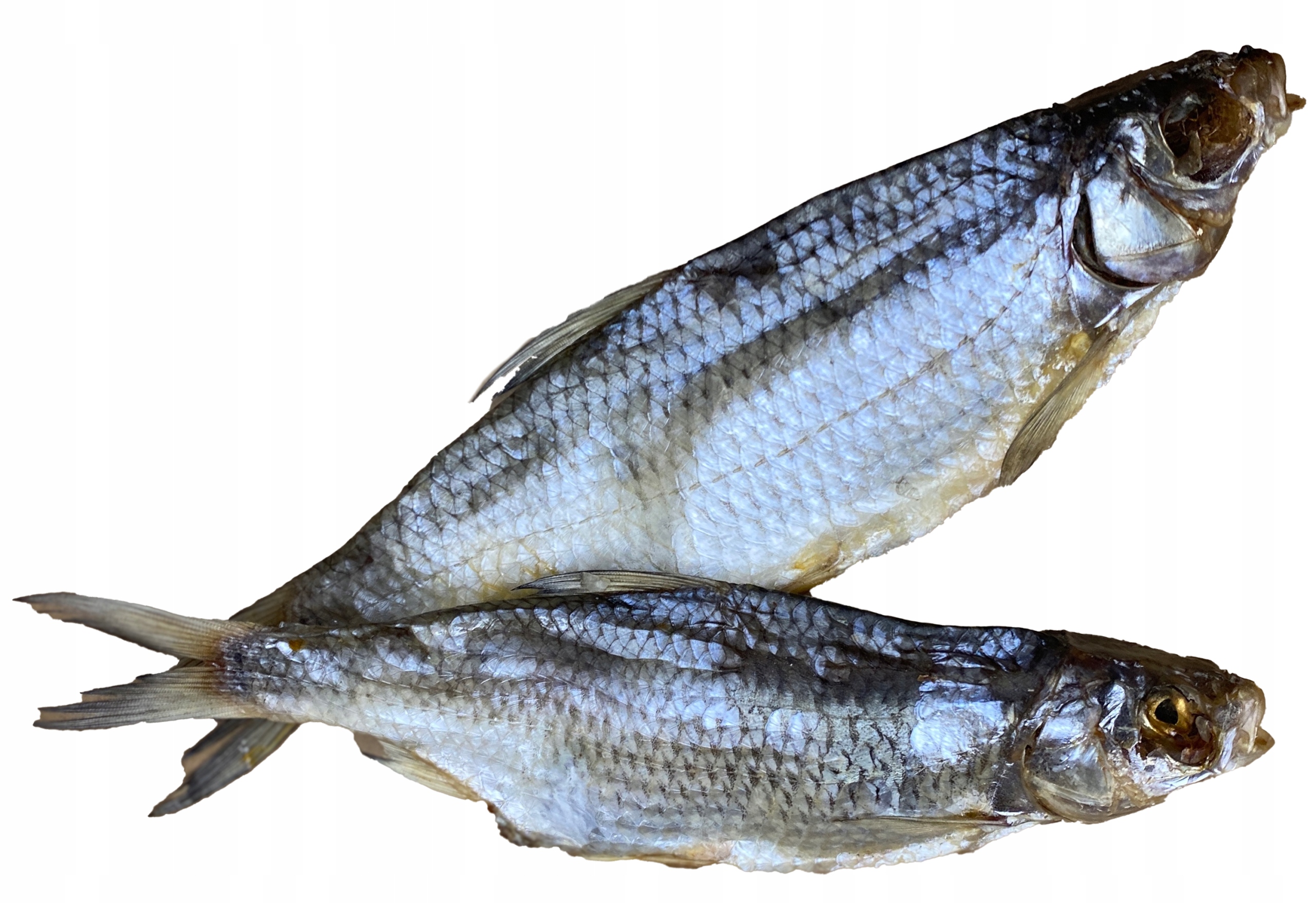 RYBA SUSZONA DO PIWA Wobła 500+/-10g • Opinie - Allegro