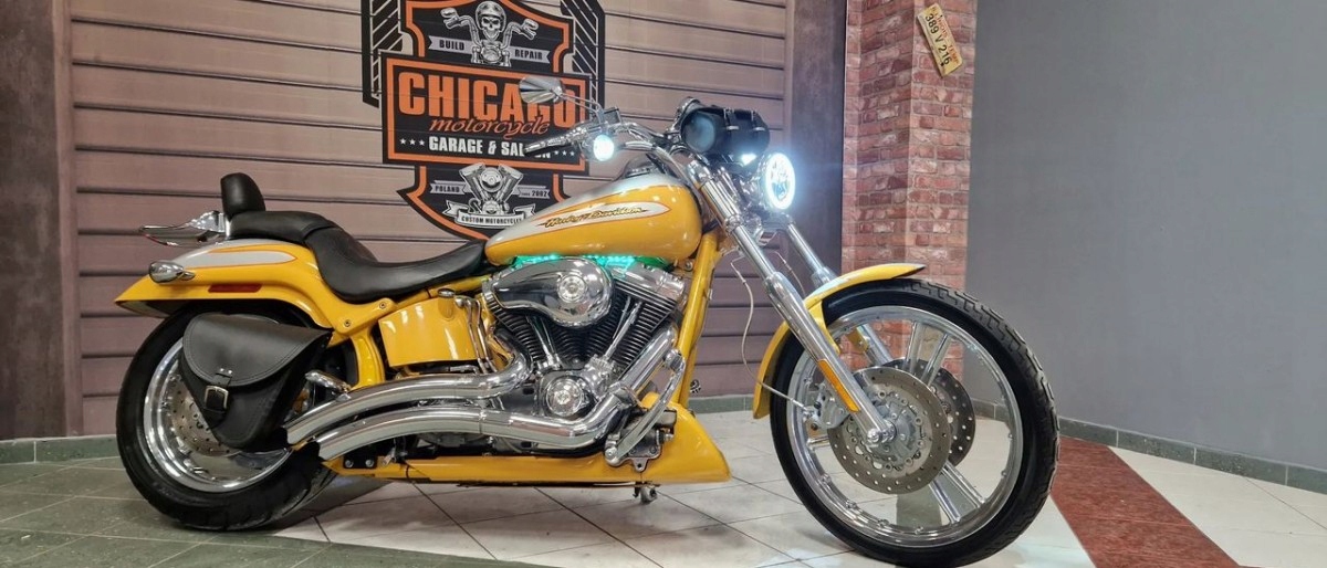 Harley-Davidson Softail Harley-Davidson Custom - Allegro