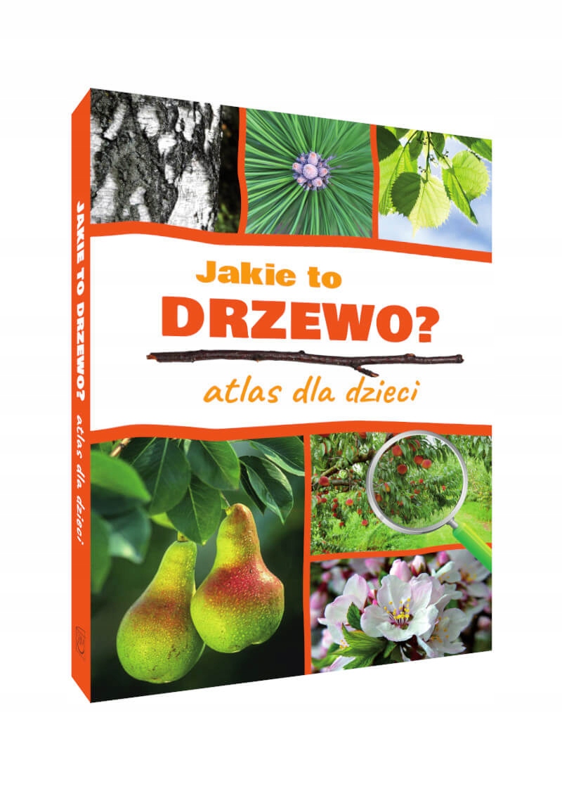 Atlas Drzew dla Dzieci - Niska cena na Allegro