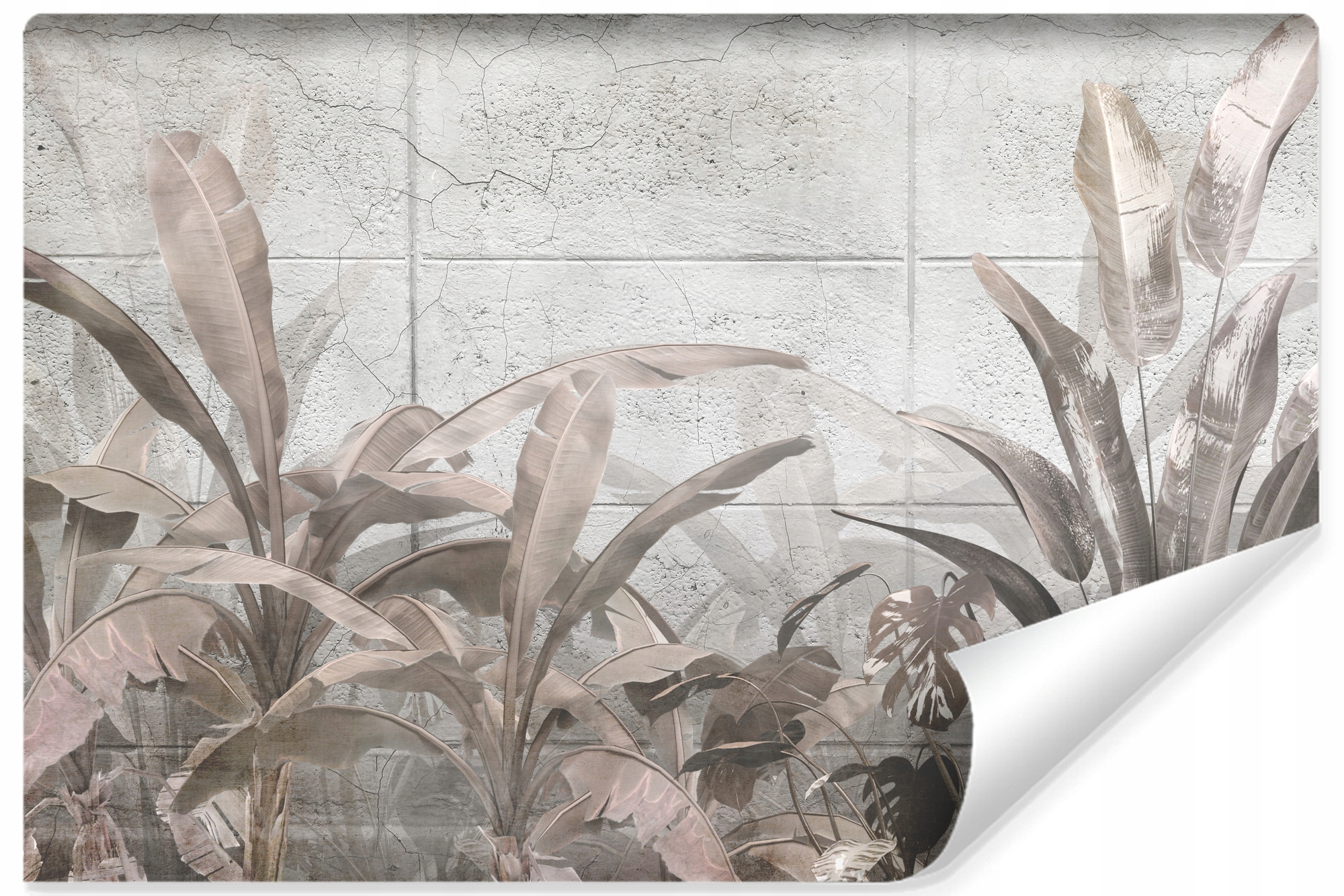 Fototapeta Liście BANANOWCA Betonowy Mur Abstrakcja Mural 368x254 (MF ... Fototapeta Liście BANANOWCA Betonowy Mur Abstrakcja Mural 368x254 (MF ...