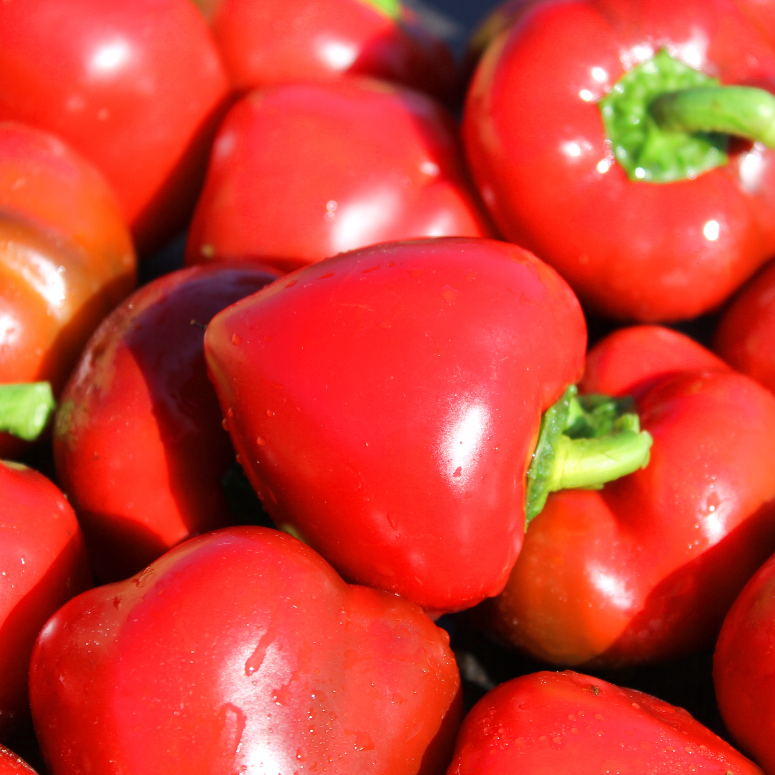 Papryka Słodka Czereśniowa jak pomidor DUMAS (5907595506847) • Cena ...