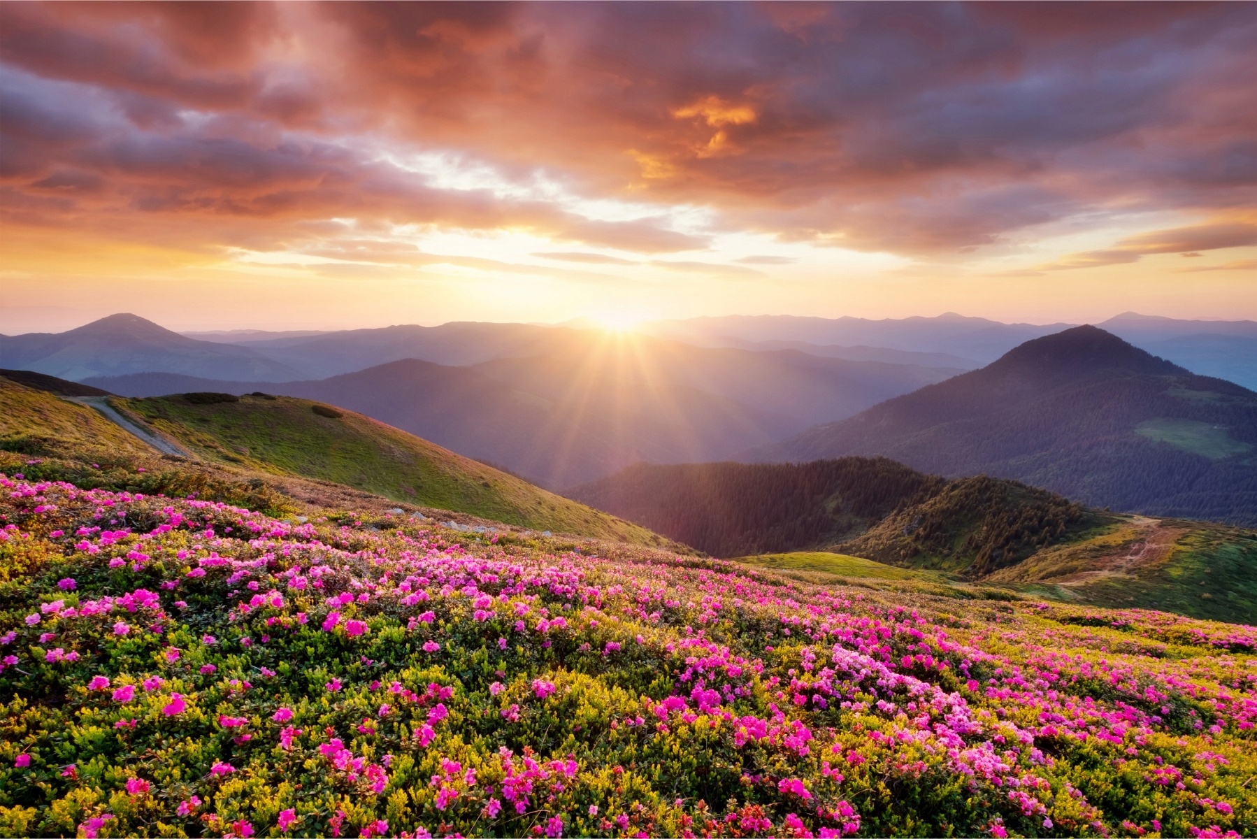 Fototapeta ZACHÓD SŁOŃCA w górach widok 3D 315x210 (5903556428005 ...