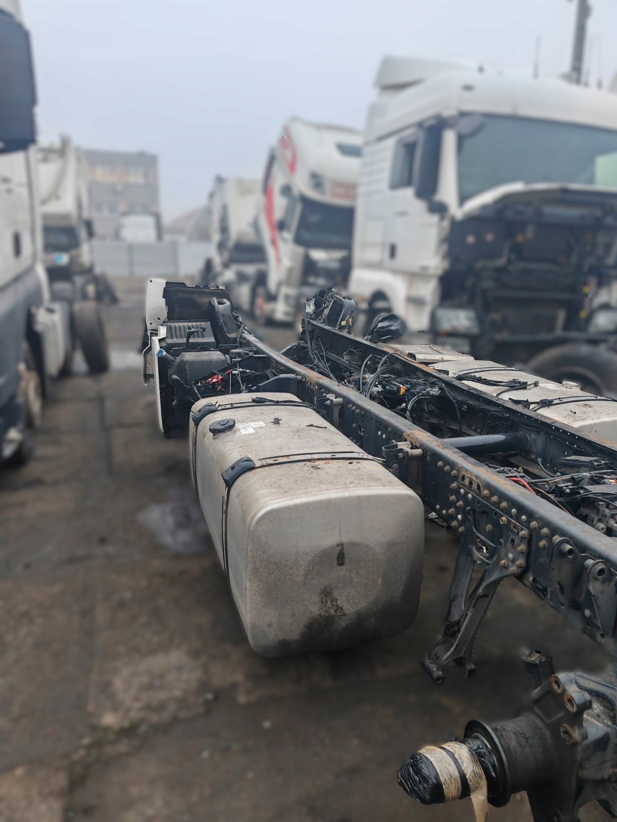 RAMA Z DOKUMENTAMI MAN TGX / TG3 / TGS MODEL 2024 • Cena, Opinie - Allegro