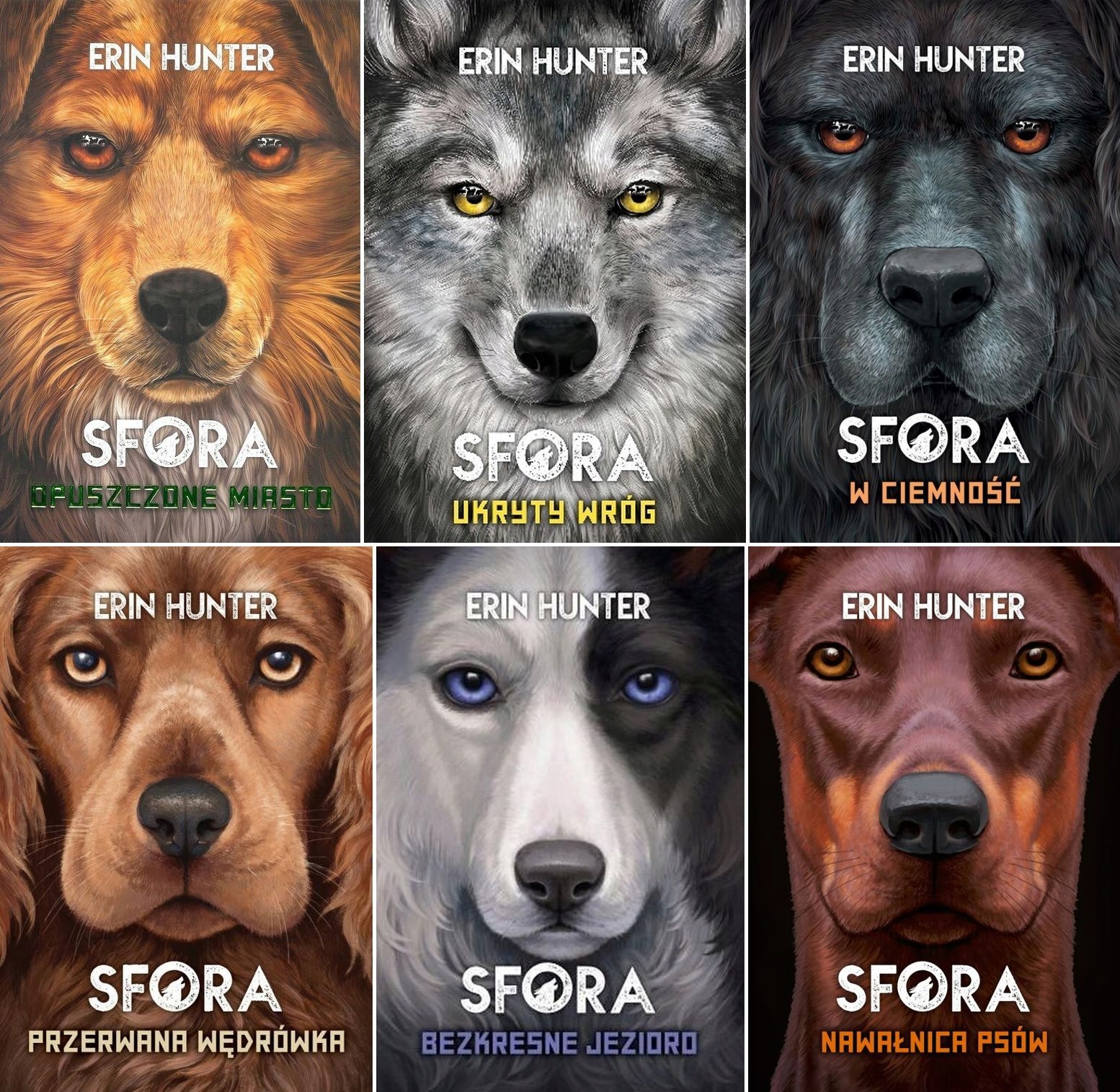 SFORA Tomy 1-6 Erin Hunter Zestaw książek (13897617052) | Książka Allegro