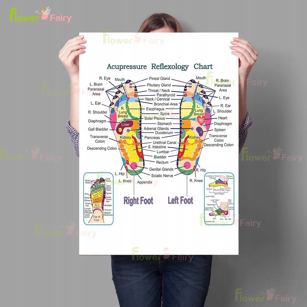 Foot Reflexology Chart Ear Hand Face Posters 13904019305 - Allegro.pl